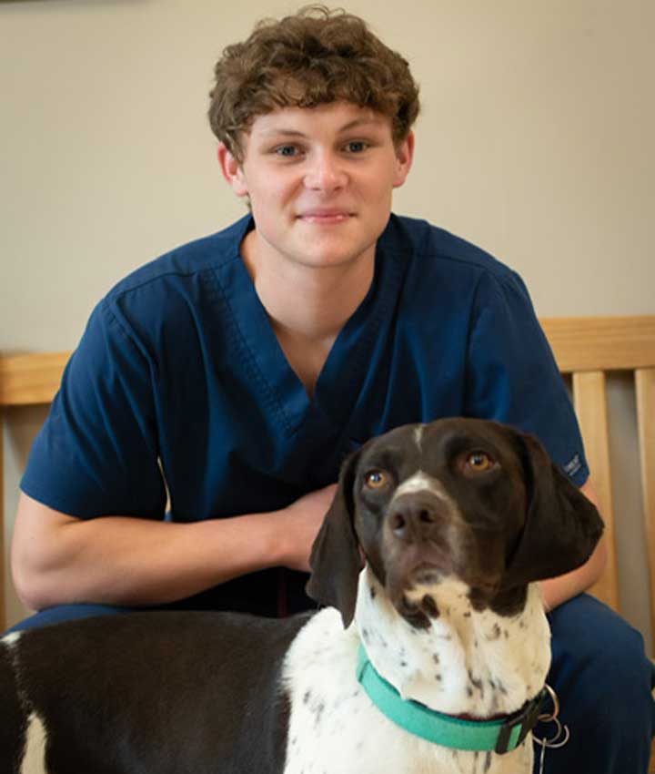 Experienced Vets | Animal Hospital in Birmingham
